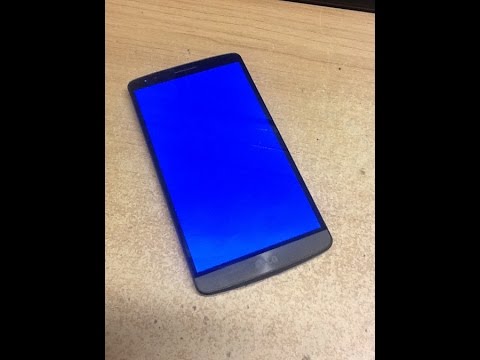 HOW TO: Fix a Blue Screen on an Android Phone - Nuxt Portfolio Template